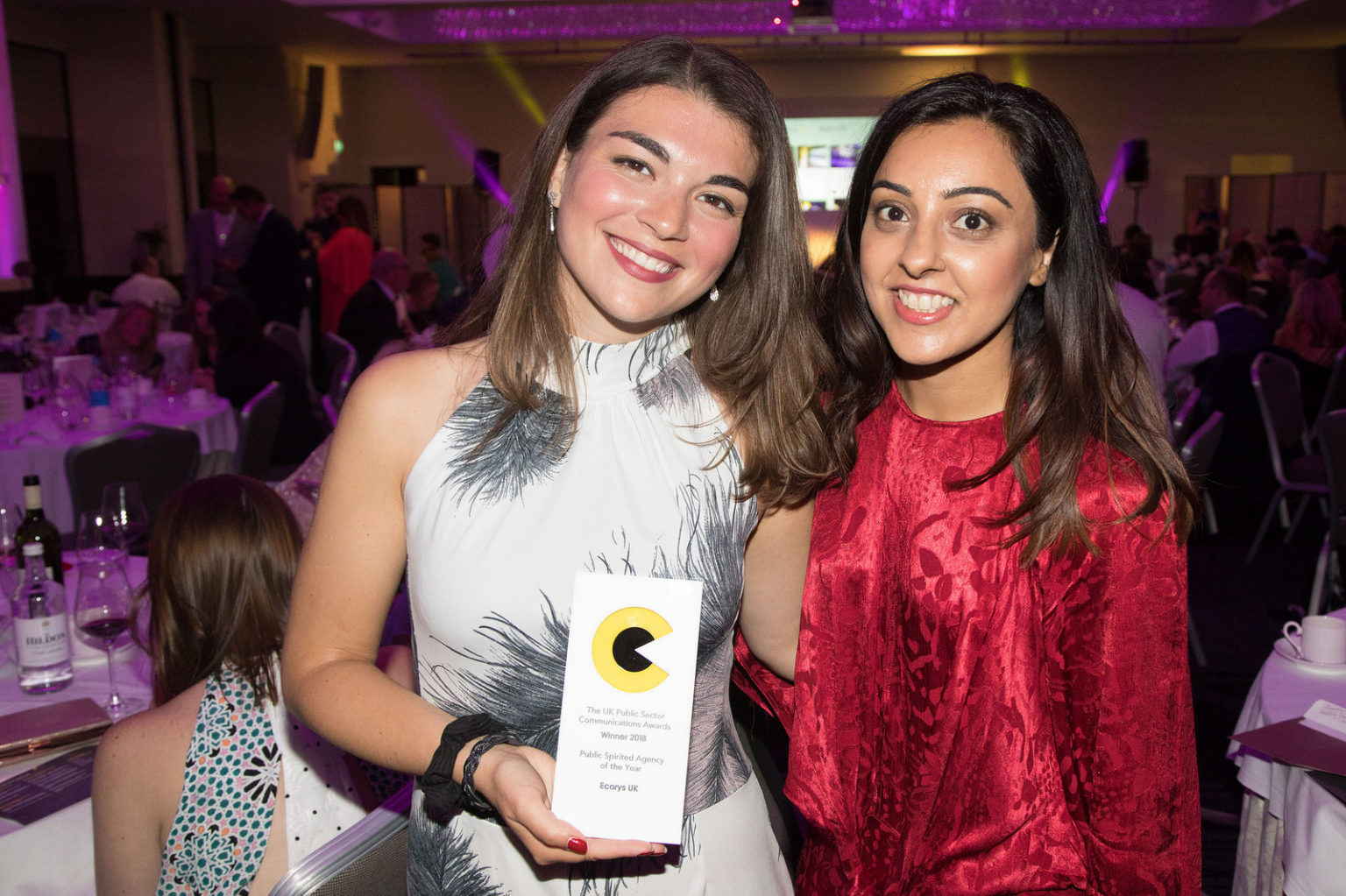 Public Spirited Agency of the Year 2018 | Ecorys