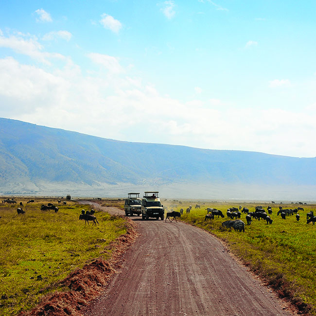 Ecorys starts long-term support to developing Tanzanian rural roads ...