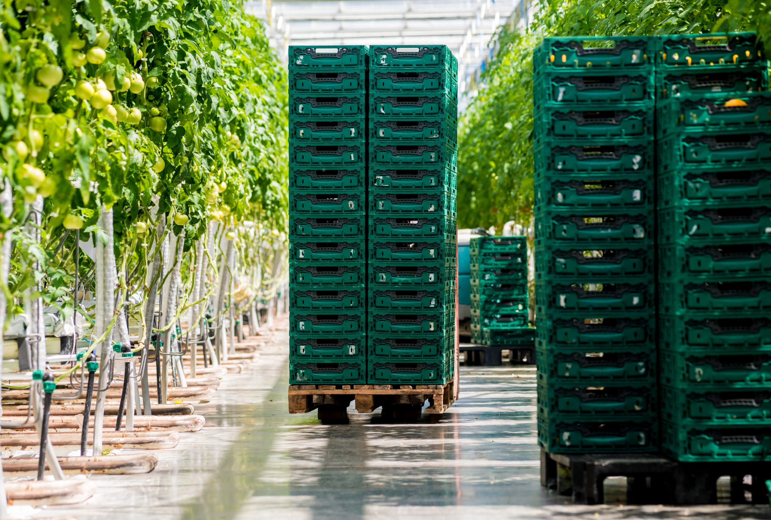The use of a tax on plant protection products in the transition to ...