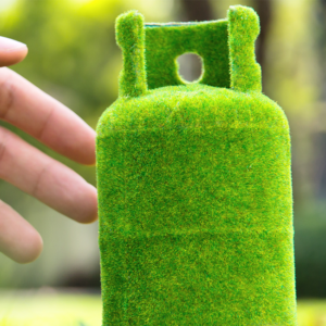 Comprender el valor social del gas verde | ecorys