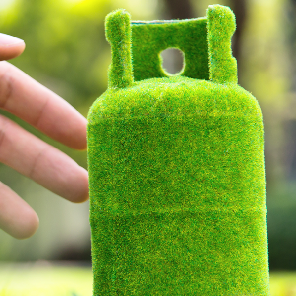 Understanding the social value of green gas | Ecorys