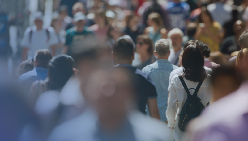 Aspectos destacados de Ecorys 2024 | ecorys